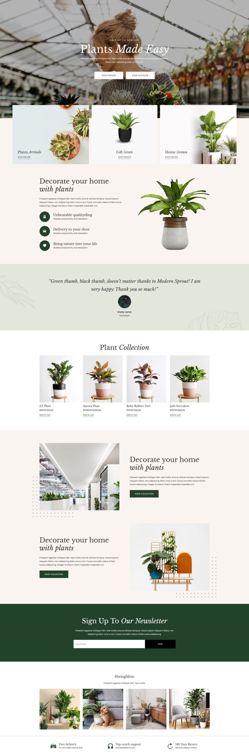 Portfolio - Digital Anchor